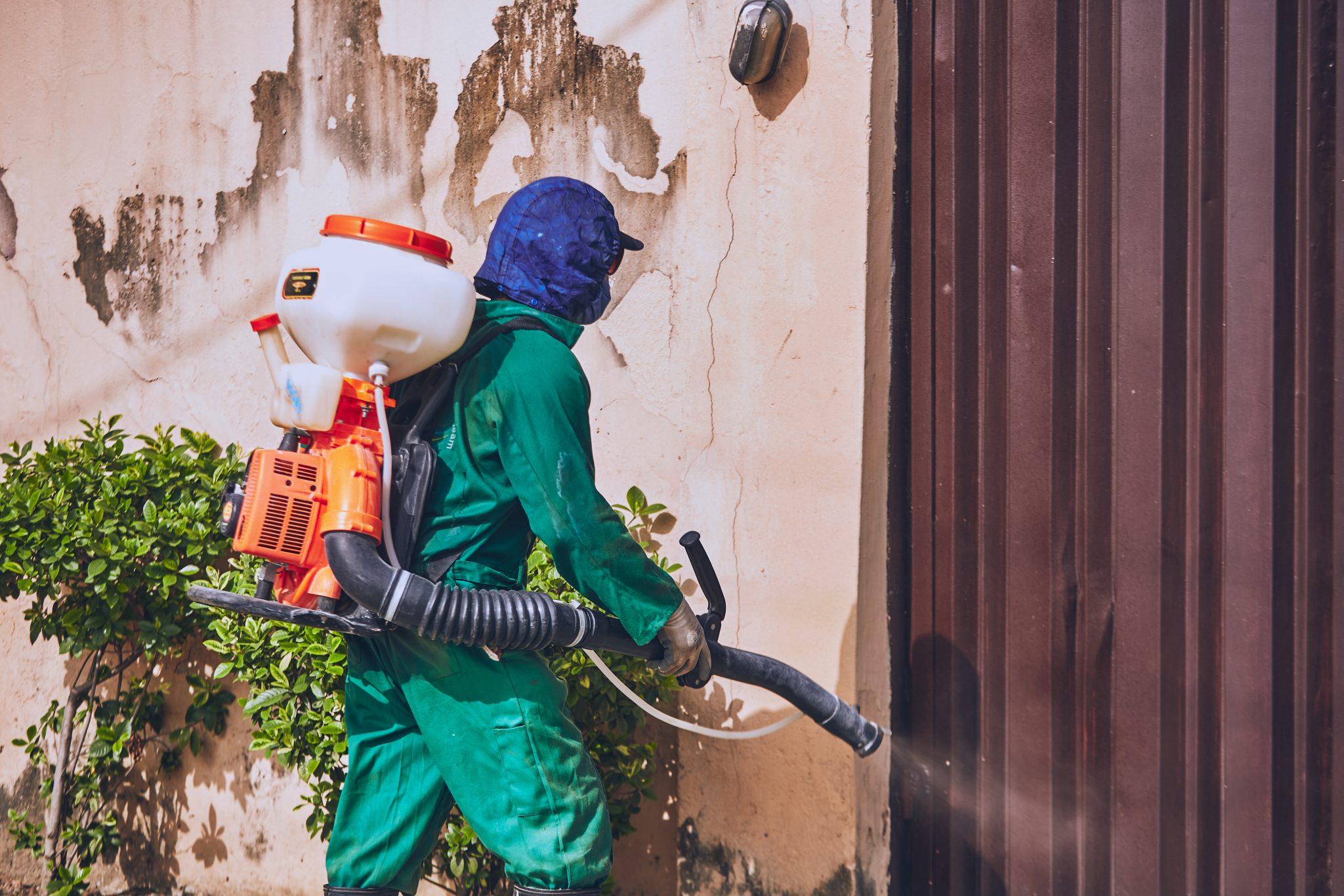 How Are Muslims in Nigeria Coping with COVID-19? - The Muslim Vibe