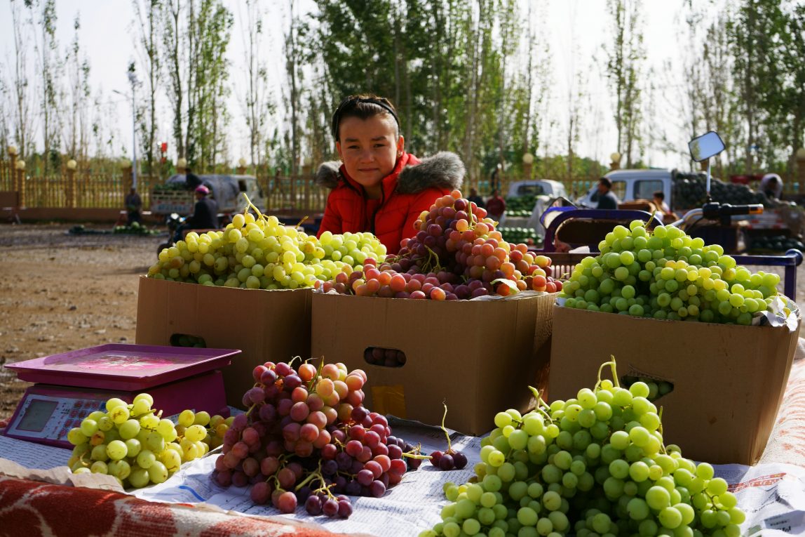 6 Fruits Mentioned in the Holy Quran - The Muslim Vibe