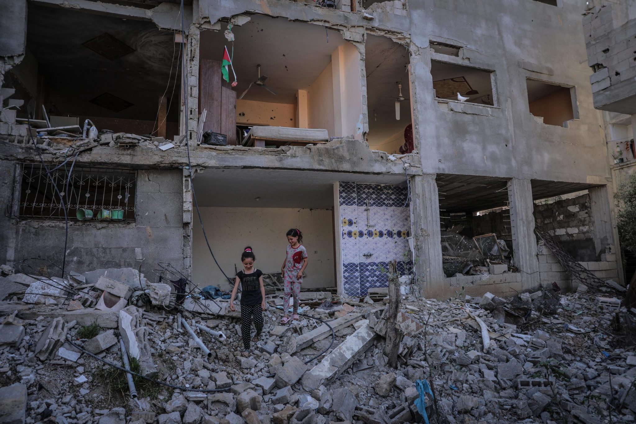 Gaza Emergency: How You Can Help - The Muslim Vibe