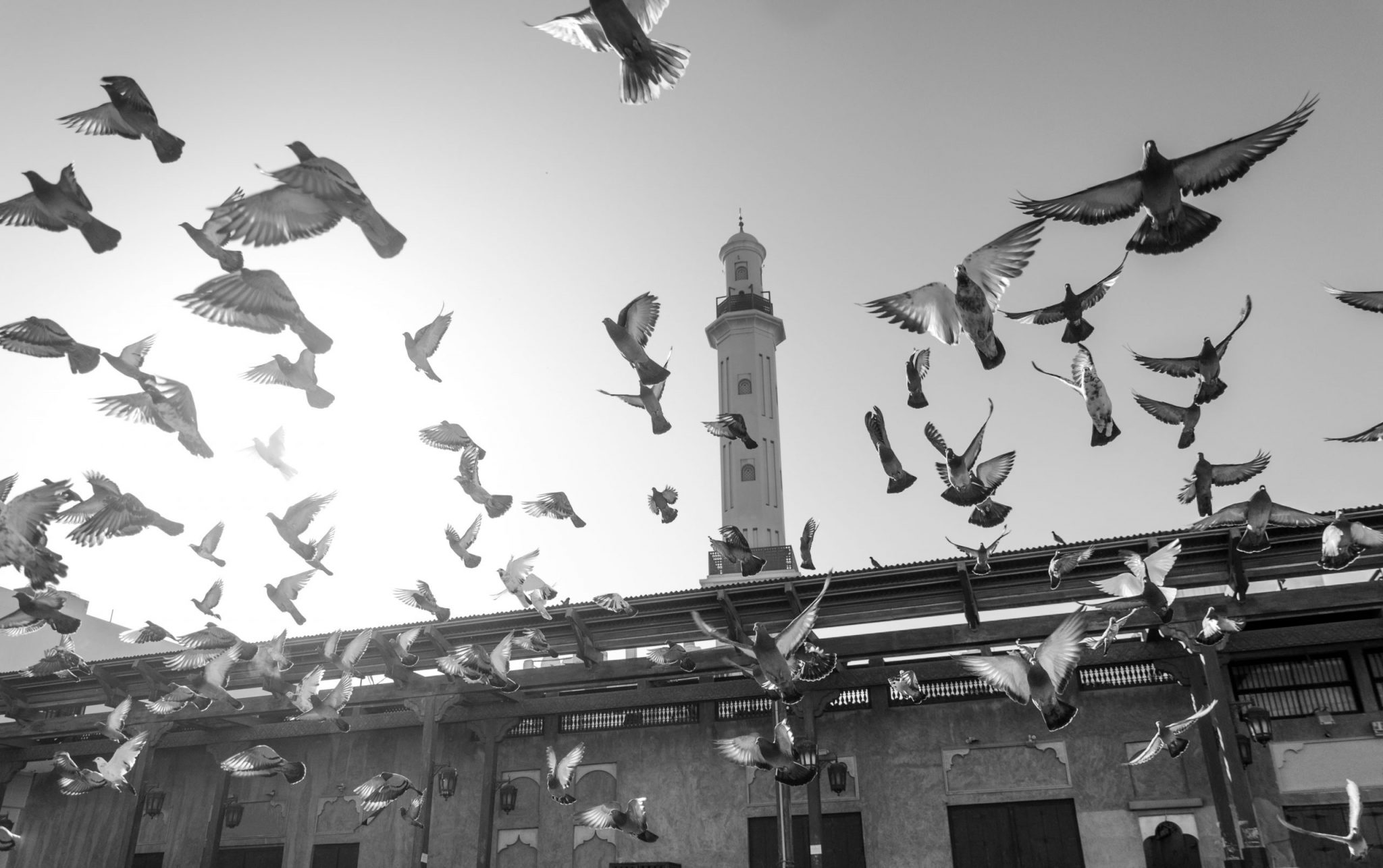 The First Creation: A Look into the Perfection of God - The Muslim Vibe