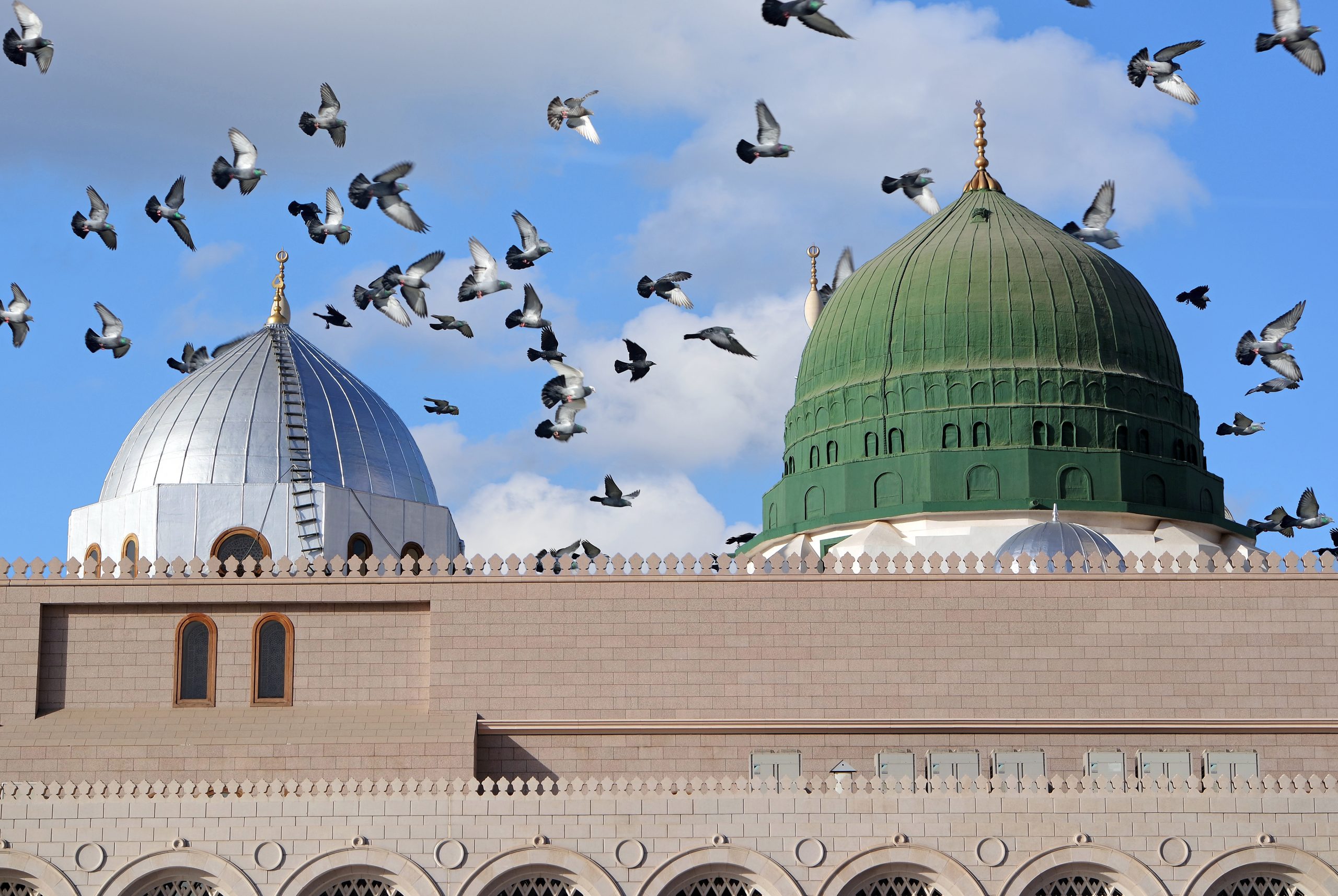 Was Prophet Muhammad Infallible? - The Muslim Vibe