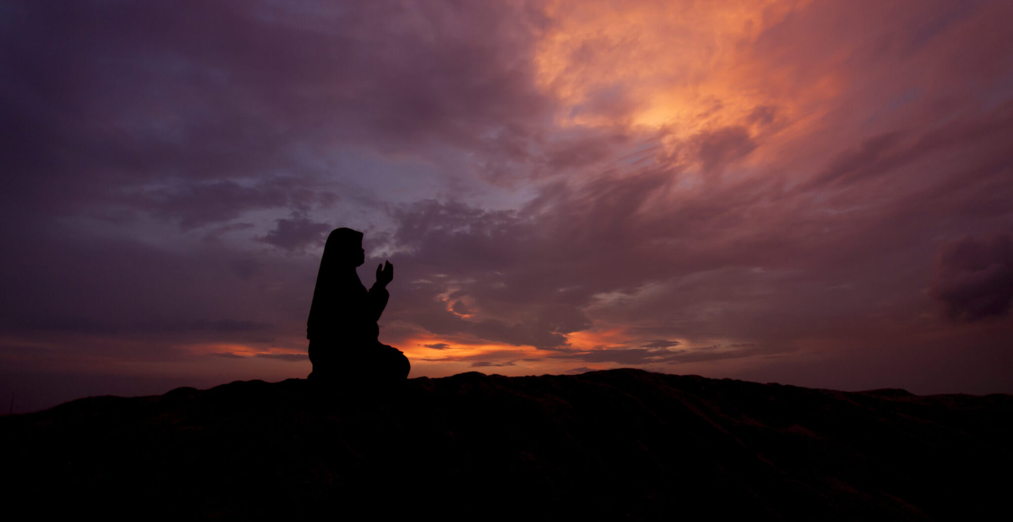 Syeda Zainab: A Timeless Role Model for Humanity - The Muslim Vibe